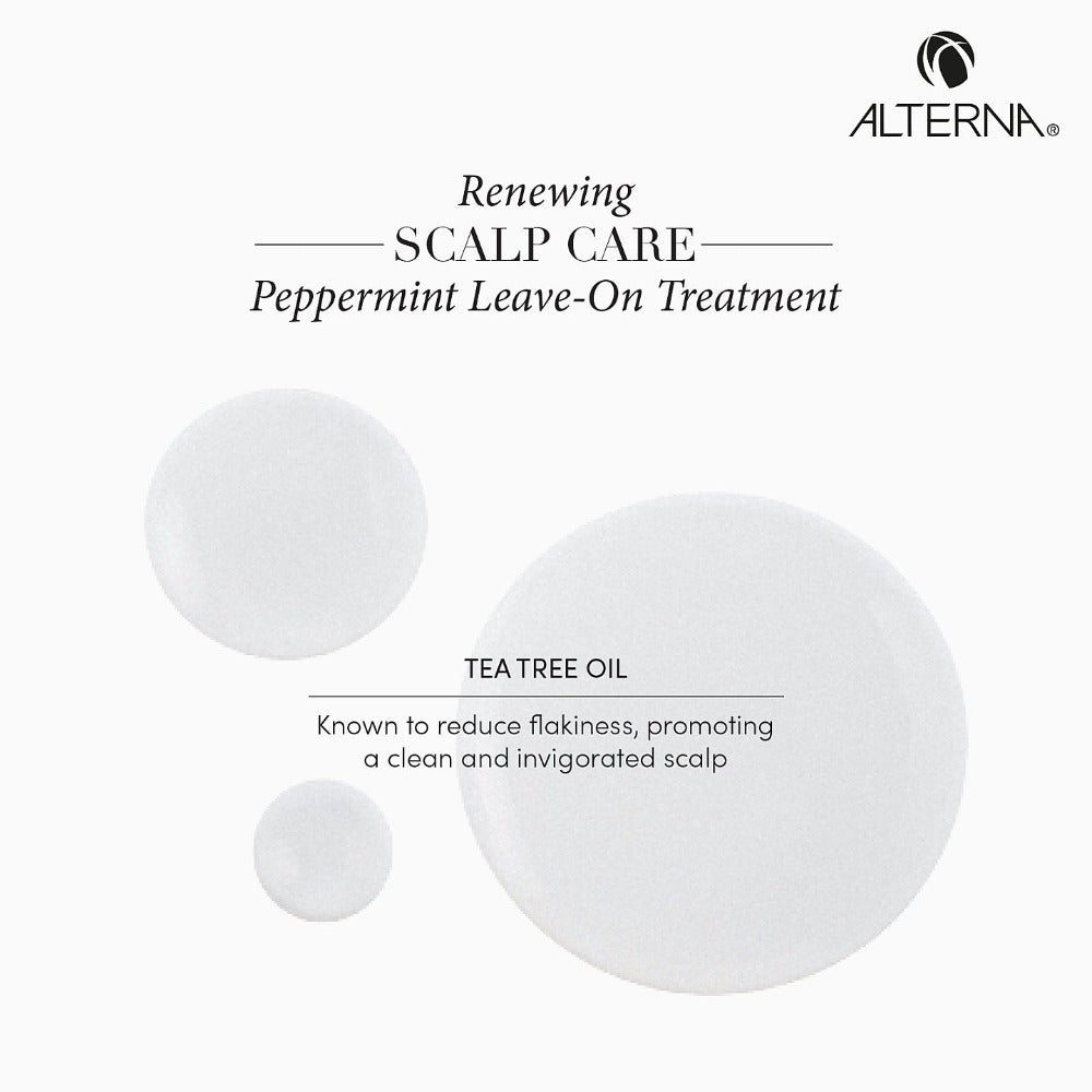 Renewing Scalp Care Peppermint Treatment – Alterna Direct